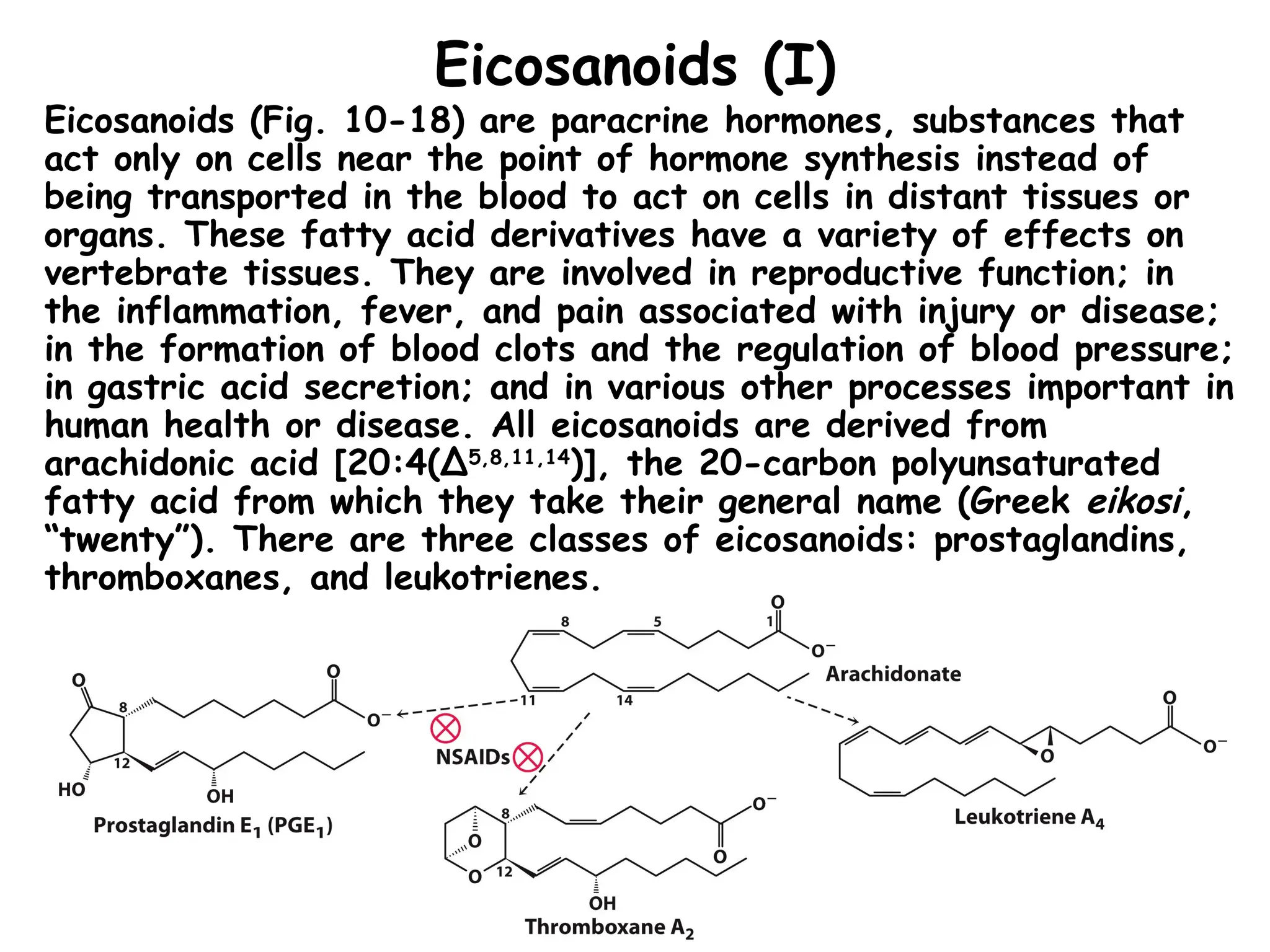 Lipid.ppt biochemistry of lipid detail science | PPT | Free Download
