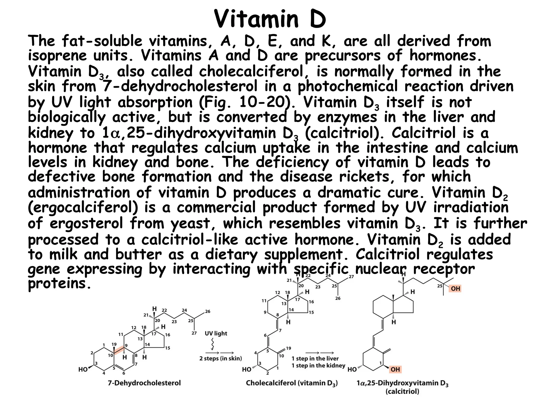 Lipid.ppt biochemistry of lipid detail science | PPT