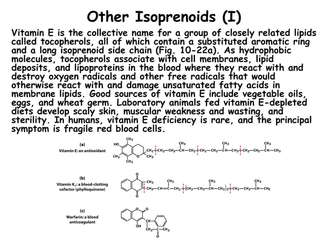 Lipid.ppt biochemistry of lipid detail science | PPT
