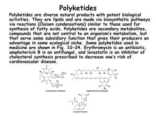 Lipid.ppt biochemistry of lipid detail science | PPT