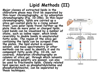 Lipid.ppt biochemistry of lipid detail science | PPT