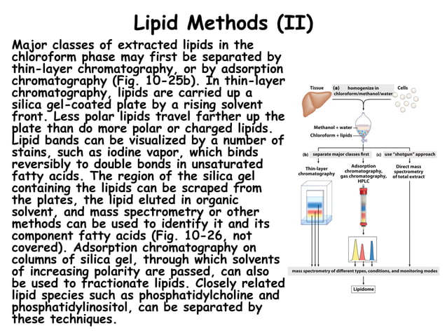 Lipid.ppt biochemistry of lipid detail science | PPT