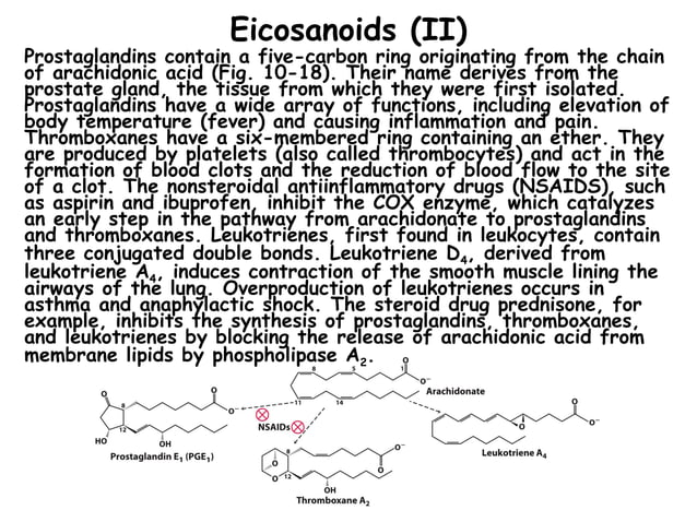 Lipid.ppt biochemistry of lipid detail science | PPT