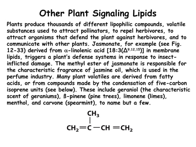 Lipid.ppt biochemistry of lipid detail science | PPT