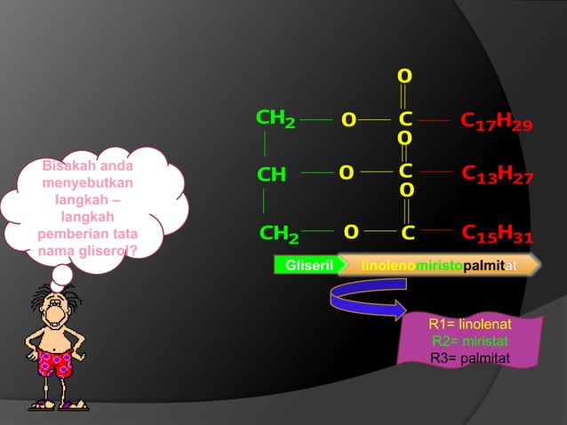 Media Pebelajaran Kimia Makromolekul (Lipid).pptx
