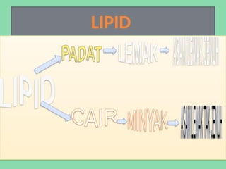 Media Pebelajaran Kimia Makromolekul (Lipid).pptx