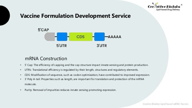 Lipid-Based mRNA Vaccine Development | PPTX