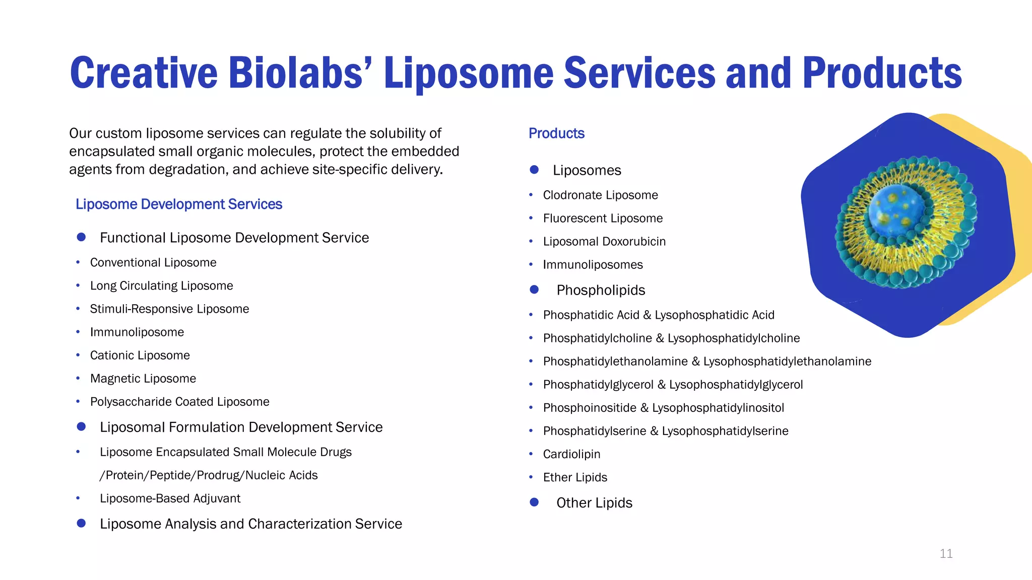 Liposomal Delivery Systems in Cancer Therapy - Creative Biolabs | PPTX
