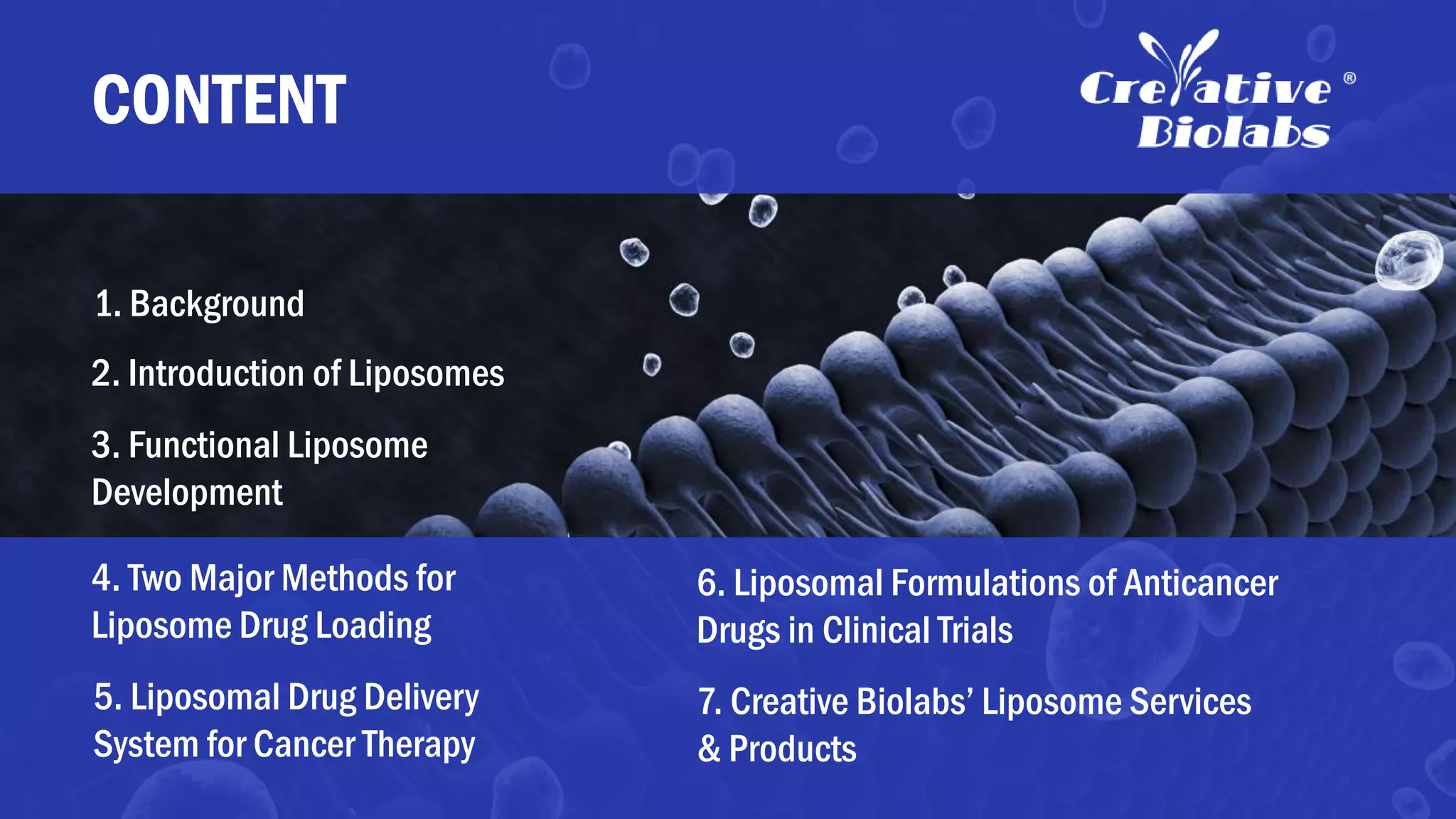 Liposomal Delivery Systems in Cancer Therapy - Creative Biolabs | PPTX