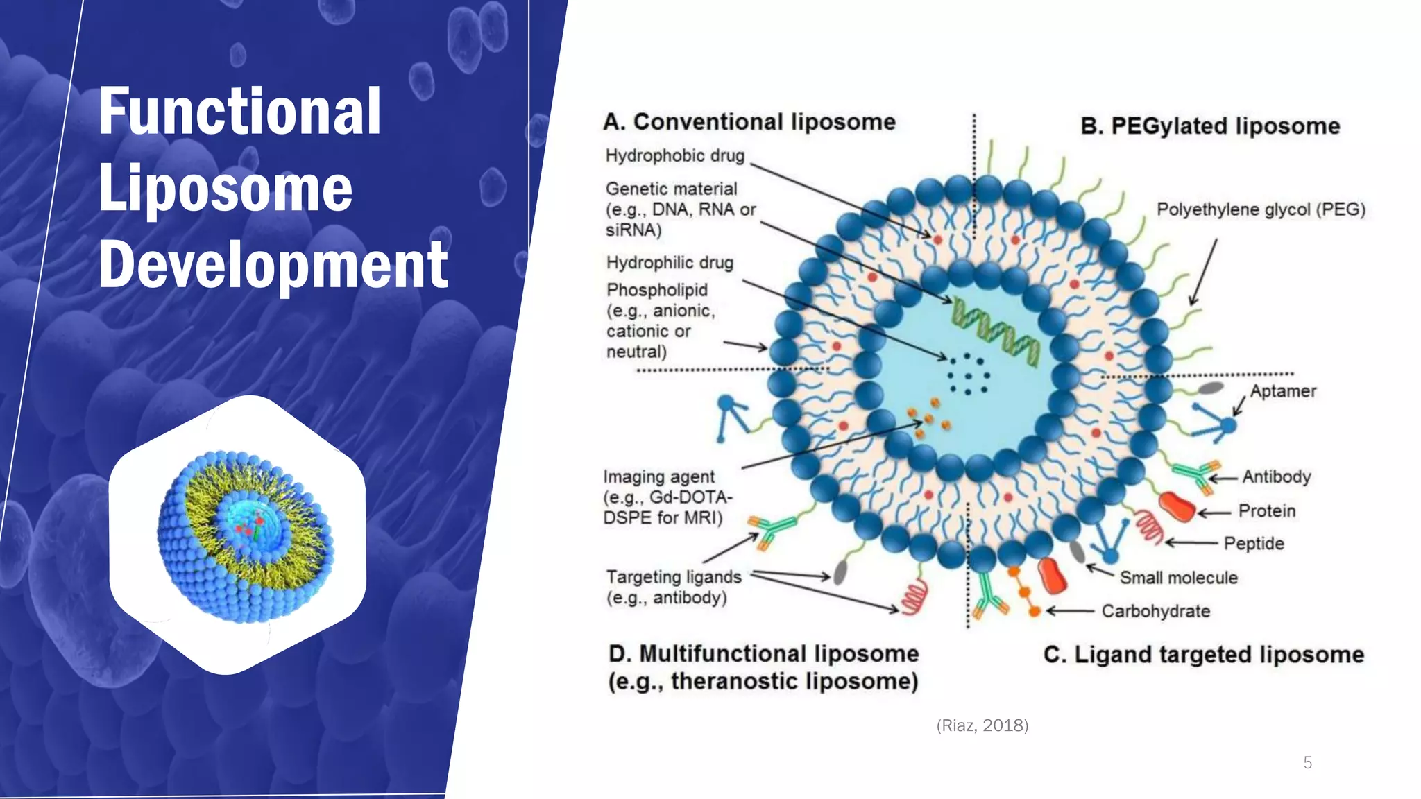 Liposomal Delivery Systems in Cancer Therapy - Creative Biolabs | PPTX
