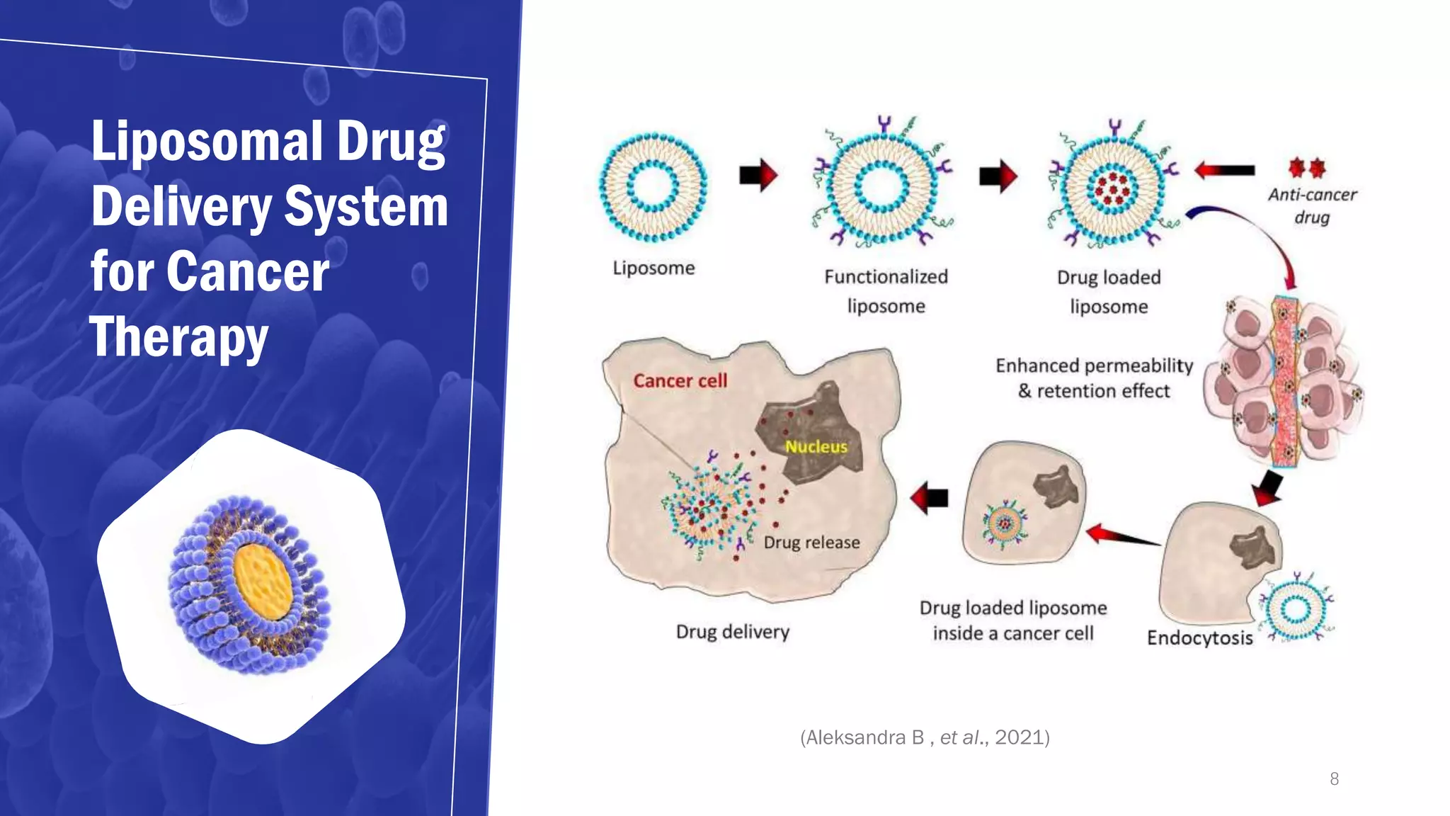 Liposomal Delivery Systems in Cancer Therapy - Creative Biolabs | PPTX