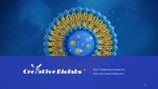 Liposomal Delivery Systems in Cancer Therapy - Creative Biolabs | PPTX