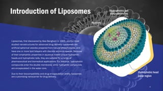 Liposomal Delivery Systems in Cancer Therapy - Creative Biolabs | PPTX