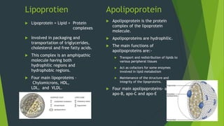 Lipid | PPT
