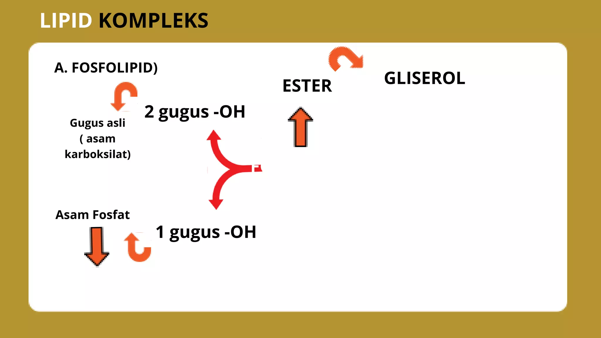 LIPID 1-KIMIA GIZI.pptx