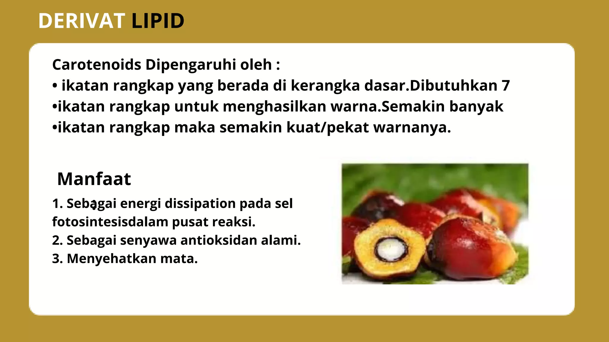 LIPID 1-KIMIA GIZI.pptx