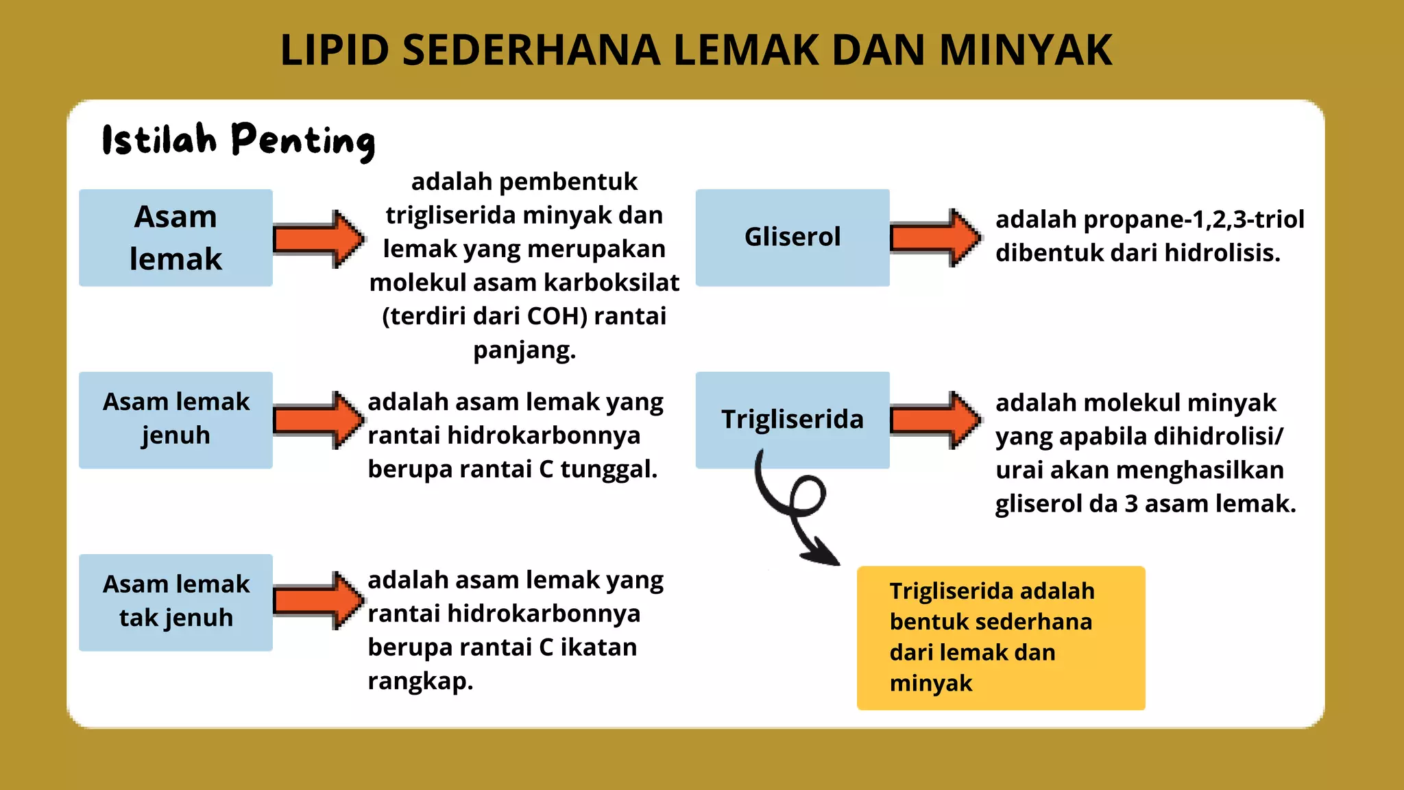 LIPID 1-KIMIA GIZI.pptx