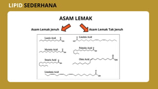 LIPID 1-KIMIA GIZI.pptx