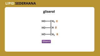 LIPID 1-KIMIA GIZI.pptx