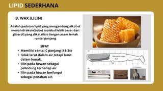 LIPID 1-KIMIA GIZI.pptx