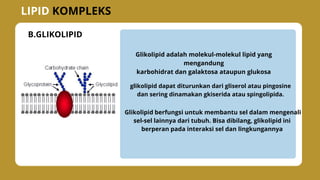LIPID 1-KIMIA GIZI.pptx