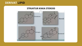 LIPID 1-KIMIA GIZI.pptx