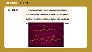 LIPID 1-KIMIA GIZI.pptx