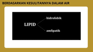 LIPID 1-KIMIA GIZI.pptx