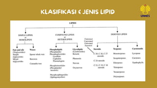LIPID 1-KIMIA GIZI.pptx