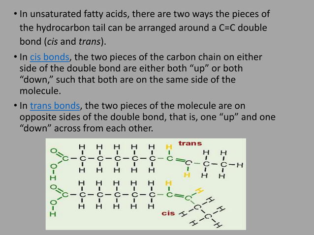 Lipids (fixed oils and fats ) | PPTX | Chemistry | Science