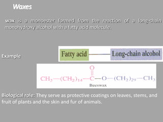 Lipids (fixed oils and fats ) | PPTX | Chemistry | Science