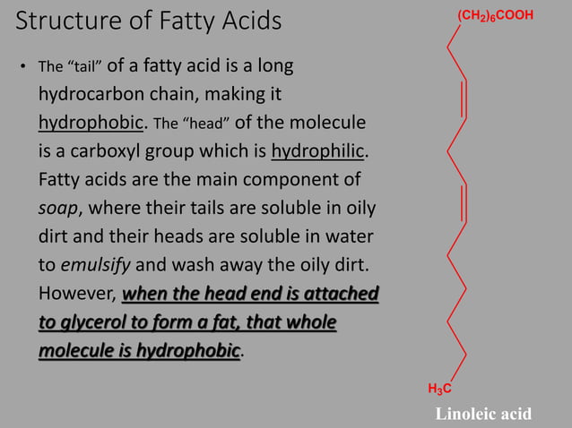 Lipids (fixed oils and fats ) | PPTX | Chemistry | Science
