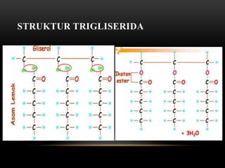 Lipid Biokimia Universitas | PPTX
