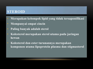 Lipid Biokimia Universitas | PPTX