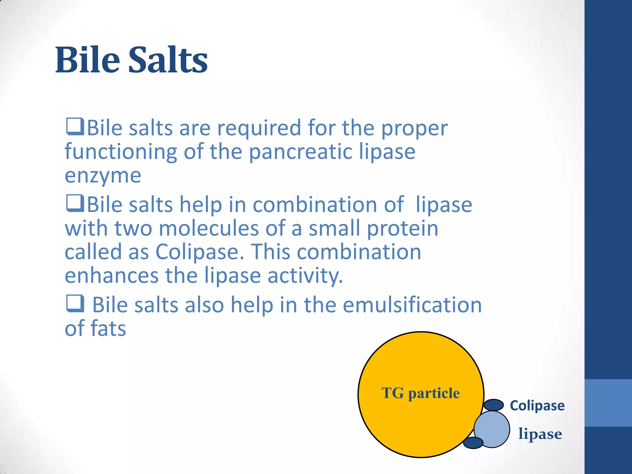 Digestion and Absorption of LIpids | PPTX