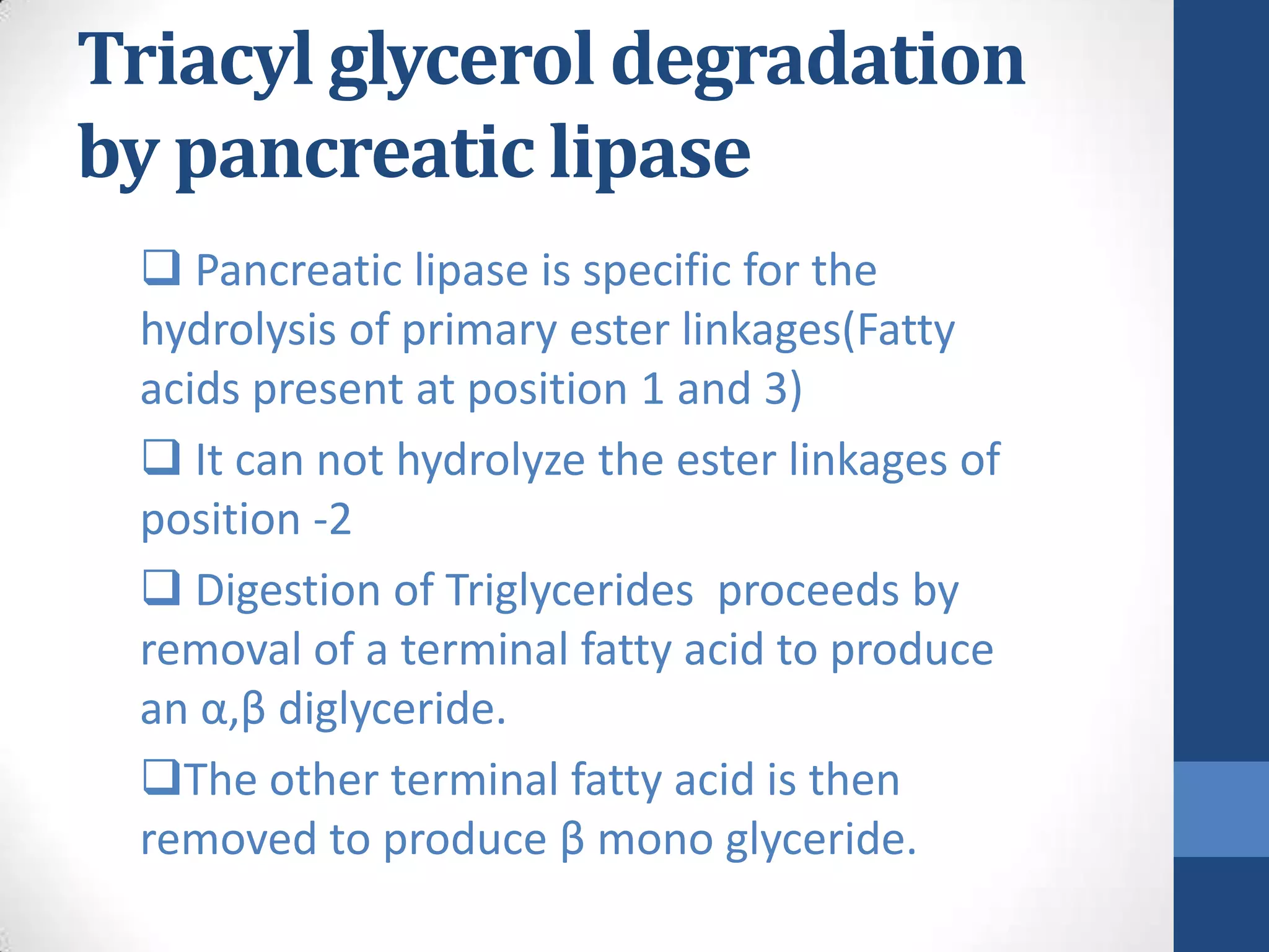 Digestion and Absorption of LIpids | PPTX