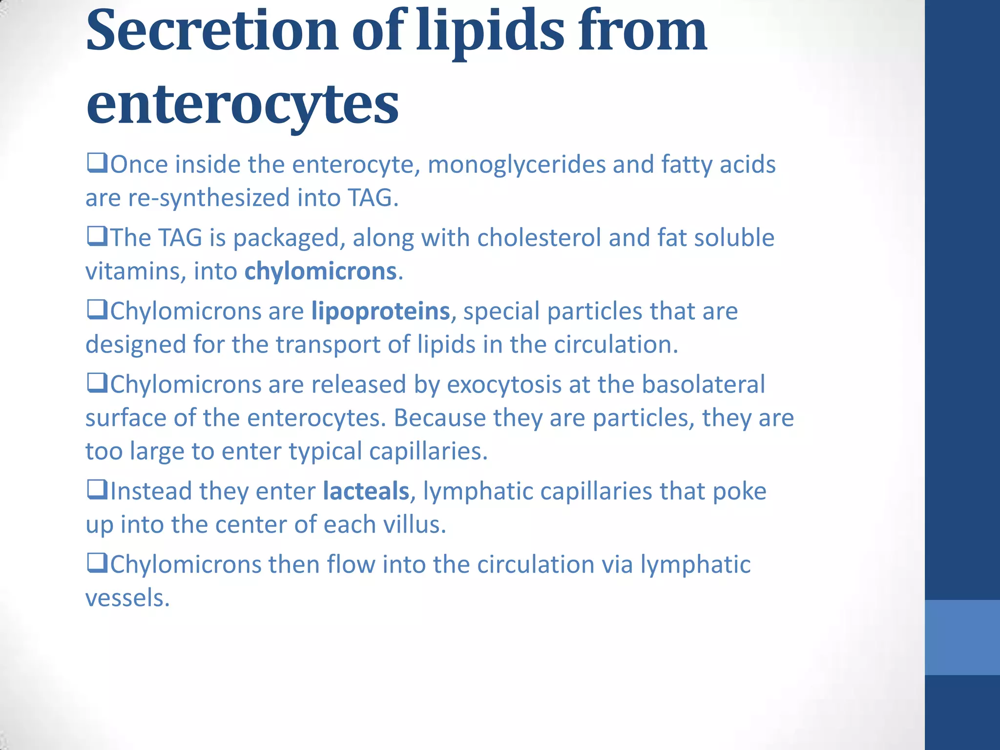 Digestion and Absorption of LIpids | PPTX