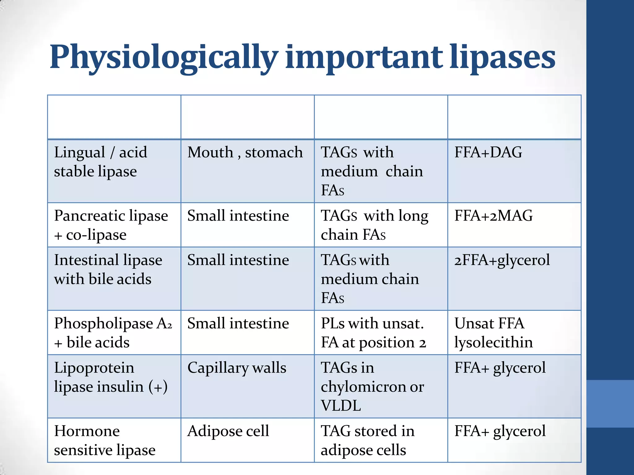 Digestion and Absorption of LIpids | PPTX