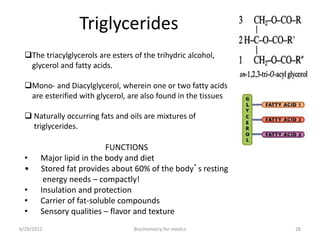 Lipids Structure And Function