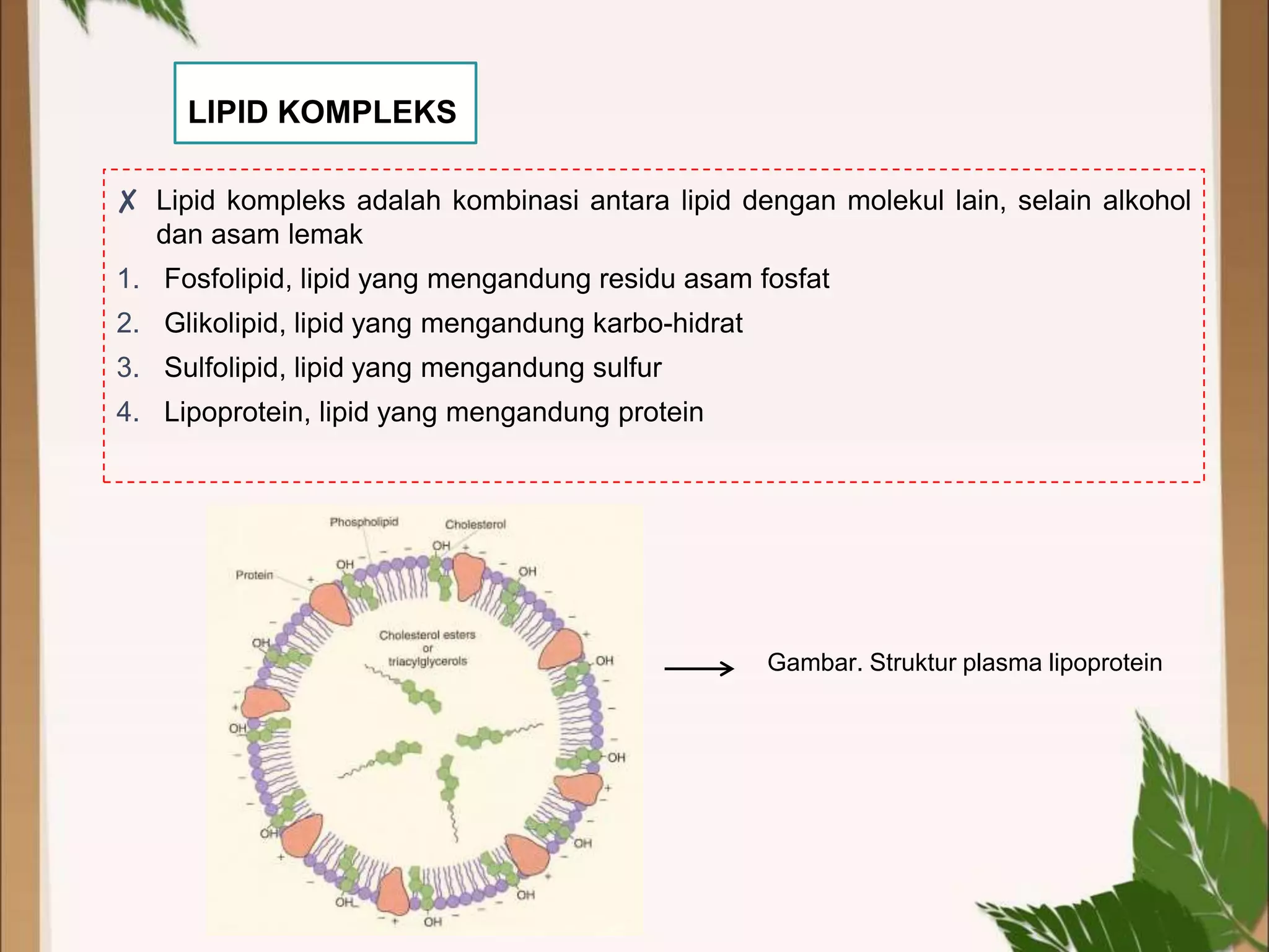 LIPID | PPTX