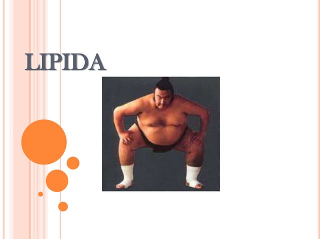 UNRAM_PATERNA_ANATOMIDANFISIOLOGITERNAK_SMTR2_Lipida oscar | PPT