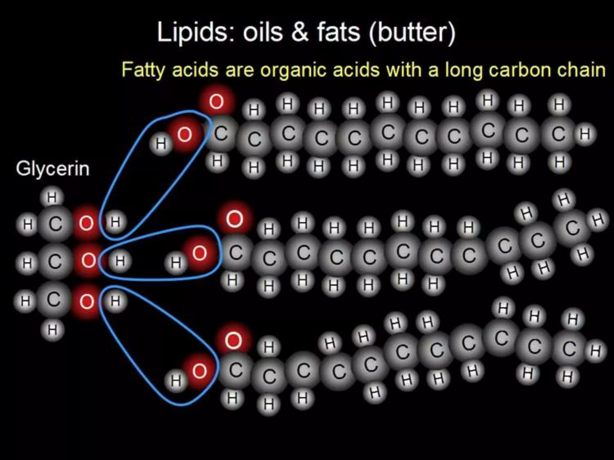 Lipid (biochem) | PPT