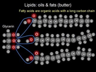 Lipid (biochem) | PPTX