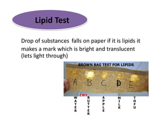 Lipid (biochem) | PPT