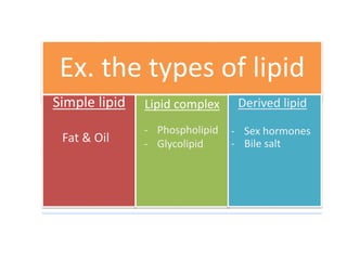 Lipid (biochem) | PPT
