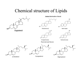 Lipids Biomolecules | PDF
