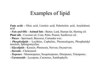 Lipids Biomolecules | PDF