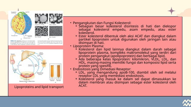 jalur sintesis asam lemak, regulasi dan biosintesis | PPTX