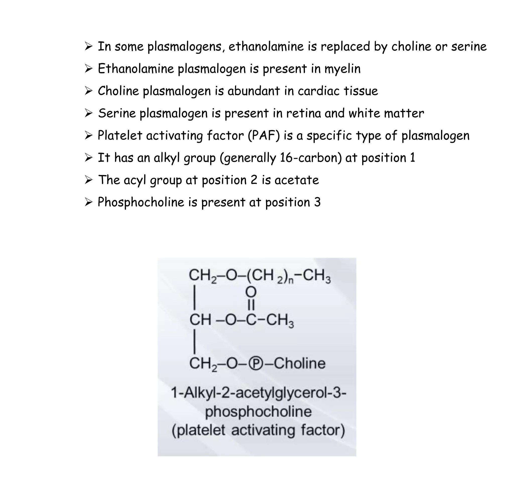 Biosynthesis of Triacylglycerol, Phospholipids, Sphingolipids | PDF