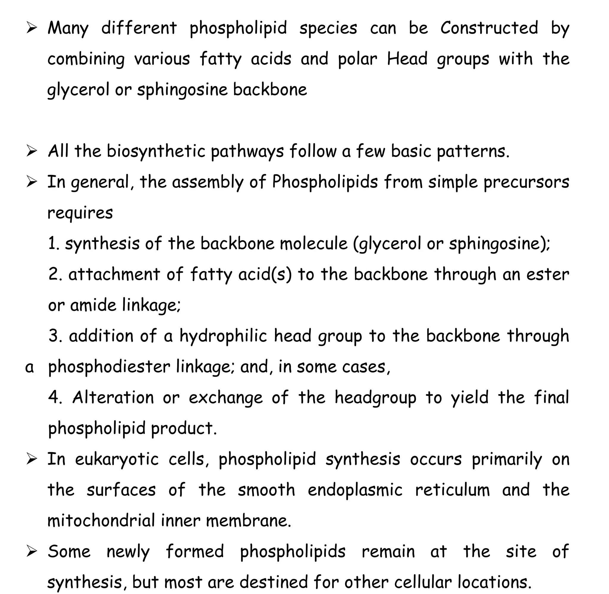 Biosynthesis of Triacylglycerol, Phospholipids, Sphingolipids | PDF